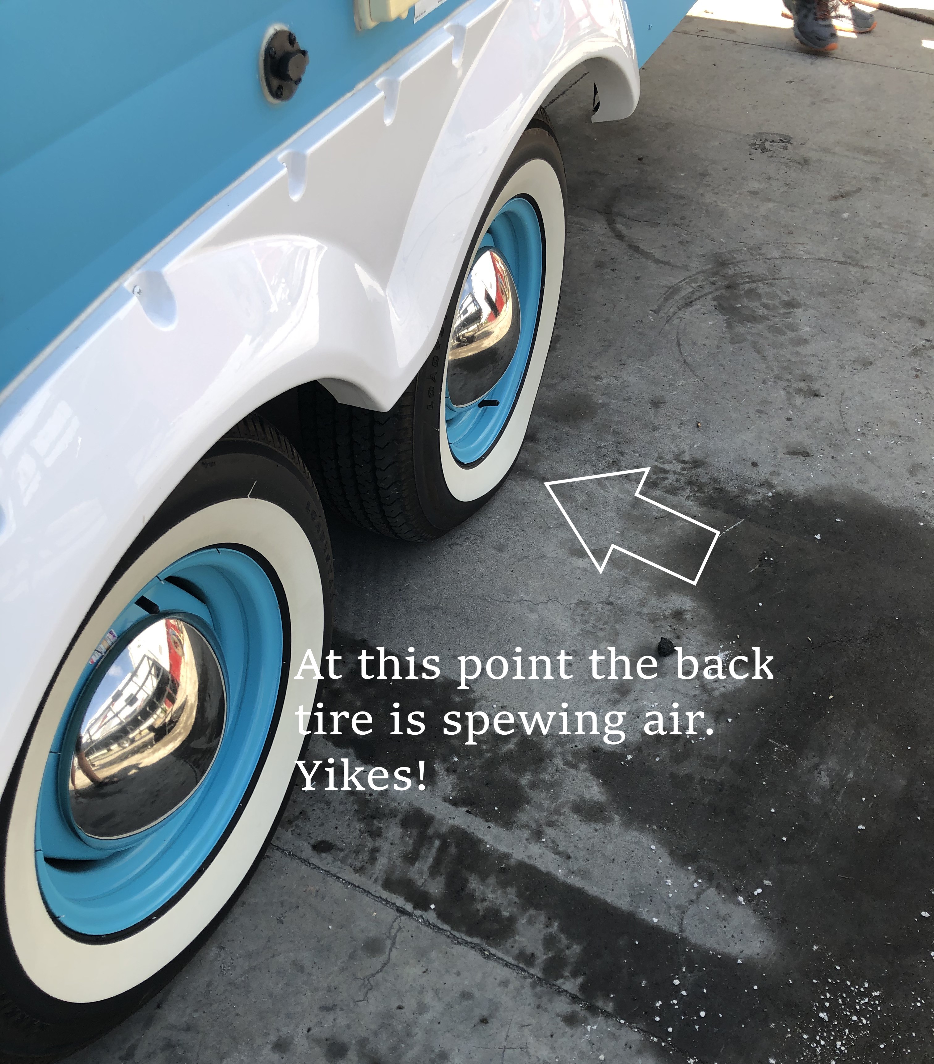 Day One – Travels with Gidget